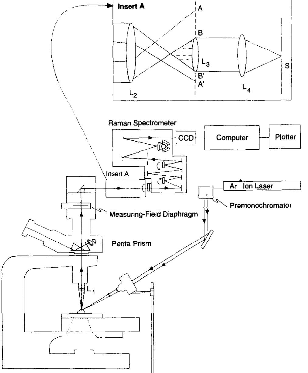 Schematic diagram of the optics of the laser confocal