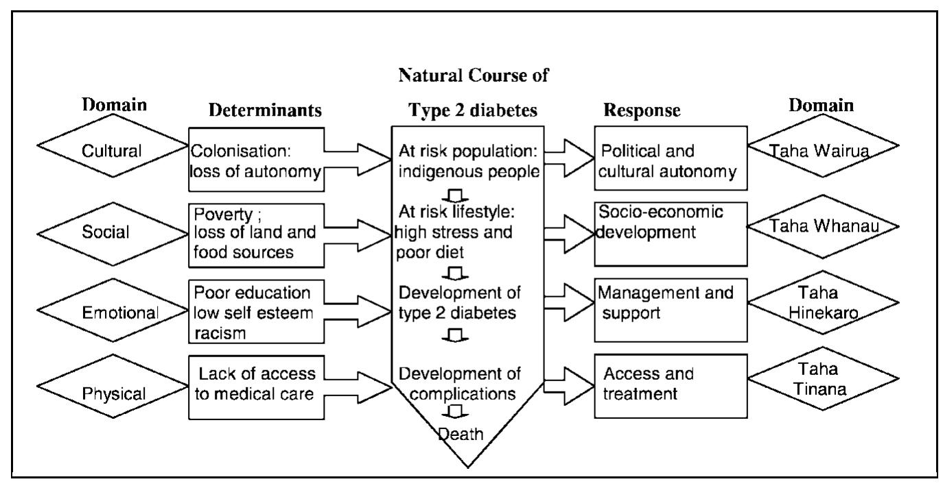 Figure 3 - Whare Tapa Wha: A Mäori Model of a Unified Theory