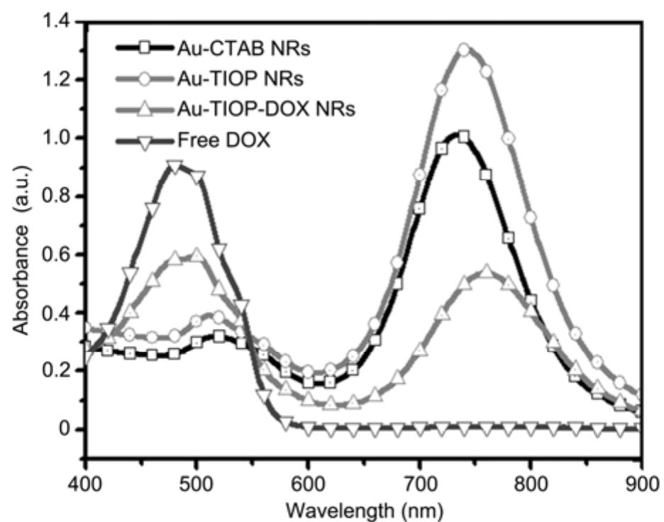 Uv-vis absorption spectra of au-ctab nrs, au-tiop nrs,