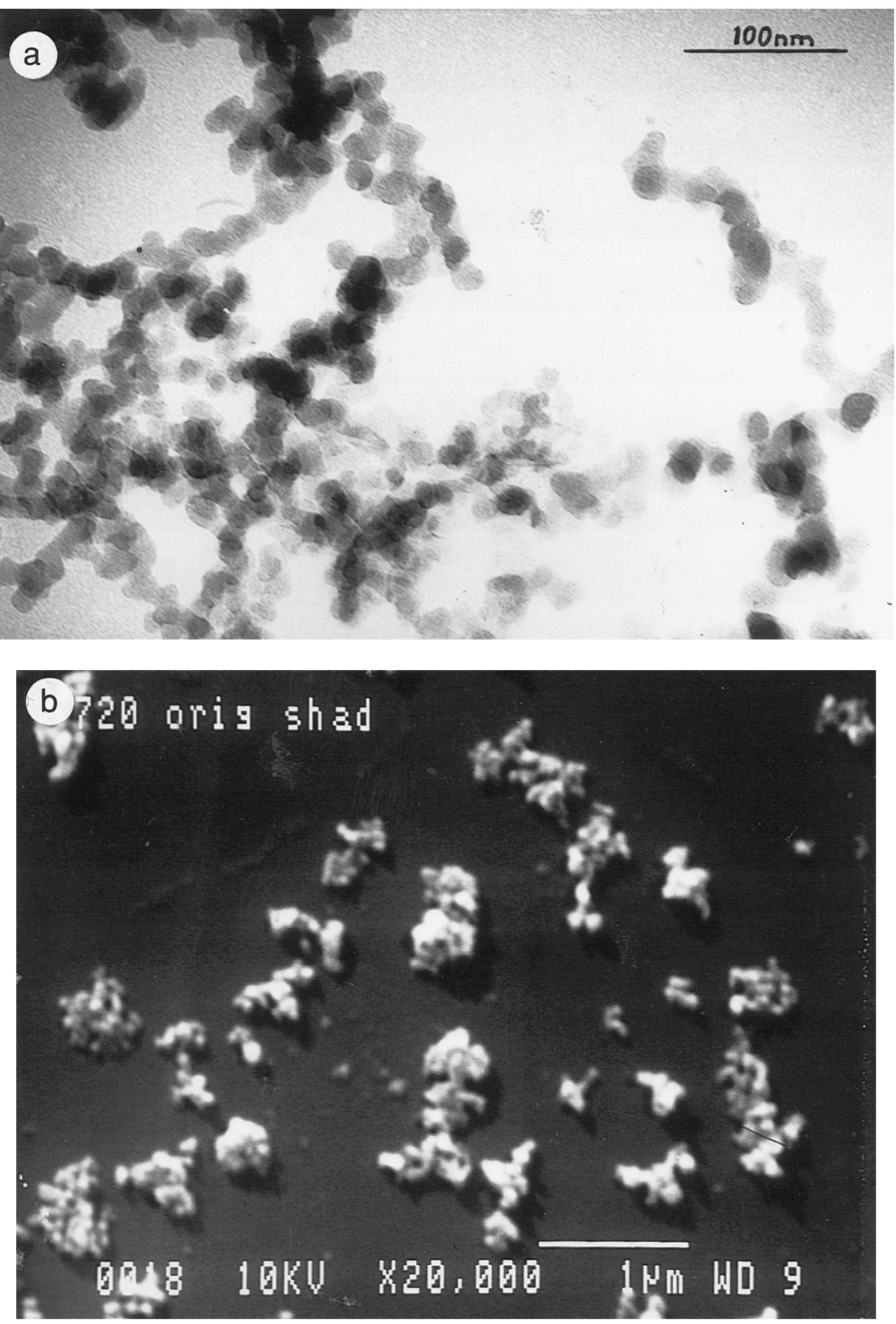 (a) tem photograph of the internal structure of fumed silica