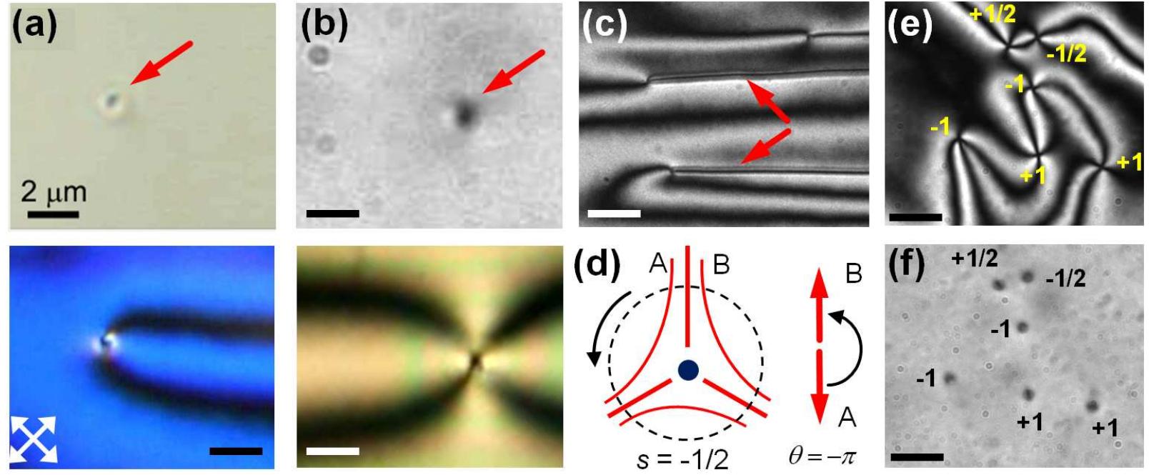 10: optical micrograph of point defects. (a) micrograph