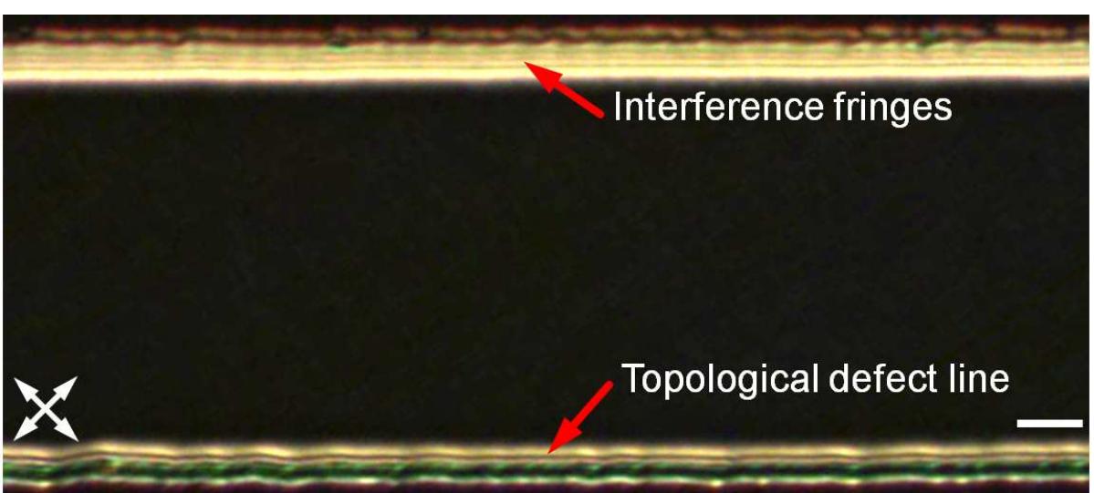5: pom image shows a topological defect line parallel to the