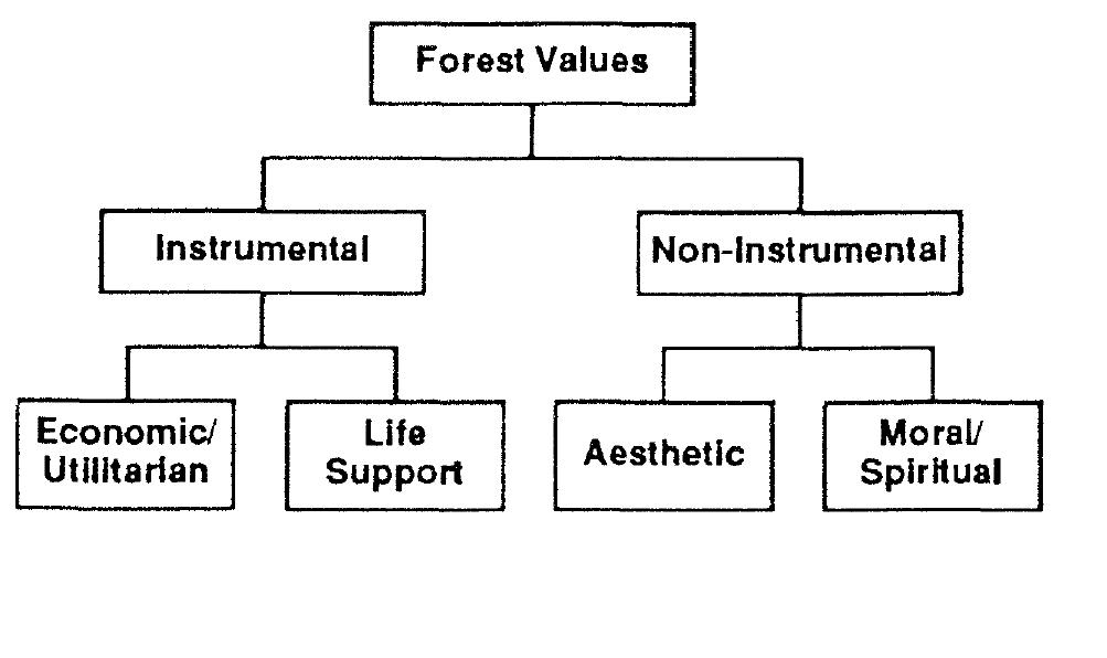 —a classification of forest values.