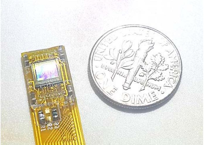 | passive-matrix ledos micro-display wire-bonded on a flex