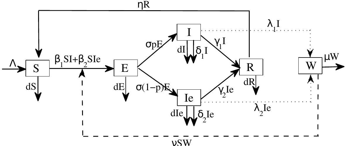 Flow diagram representing transmission routes and other