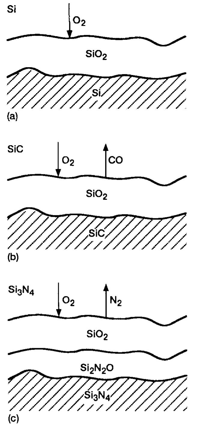Schematic of protective oxide scales: (a) on si, (b) on sic,