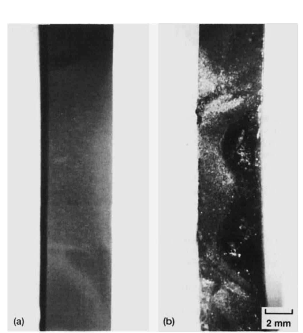 Optical micrographs of sintered sic with carbon and boron