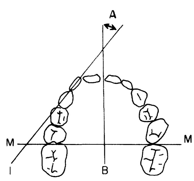 Schematic drawing of the mandibular arch.