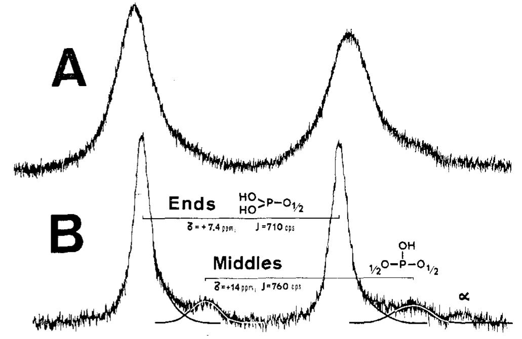 —p*! n.m.r. spectra of the condensed phosphorous acid
