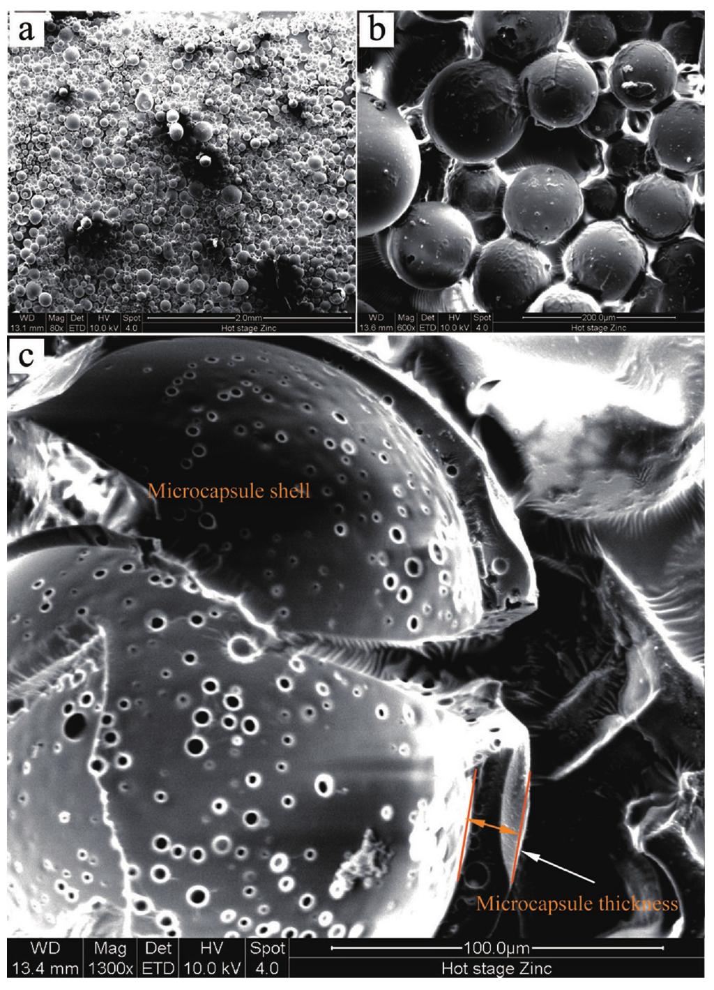 Scanning electron microscope (sem) morphologies of micro-