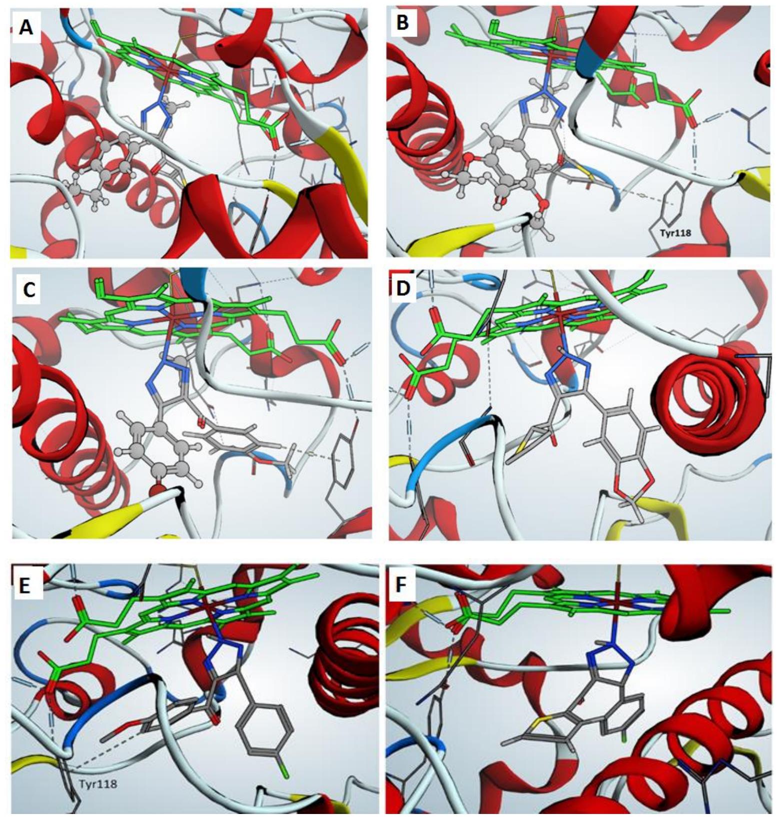 (a) docking pose of the compound gkv10. (b) docking pose of