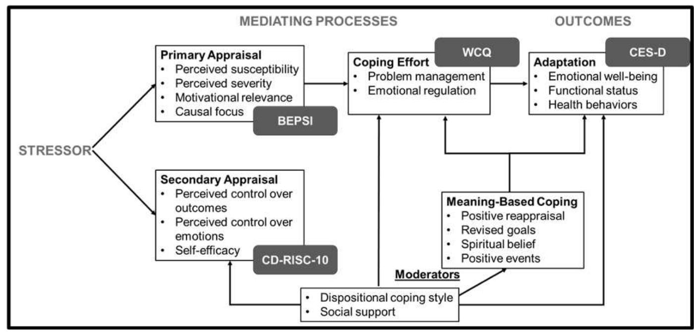 Fieure 1: diagram of the transaction model of stress and