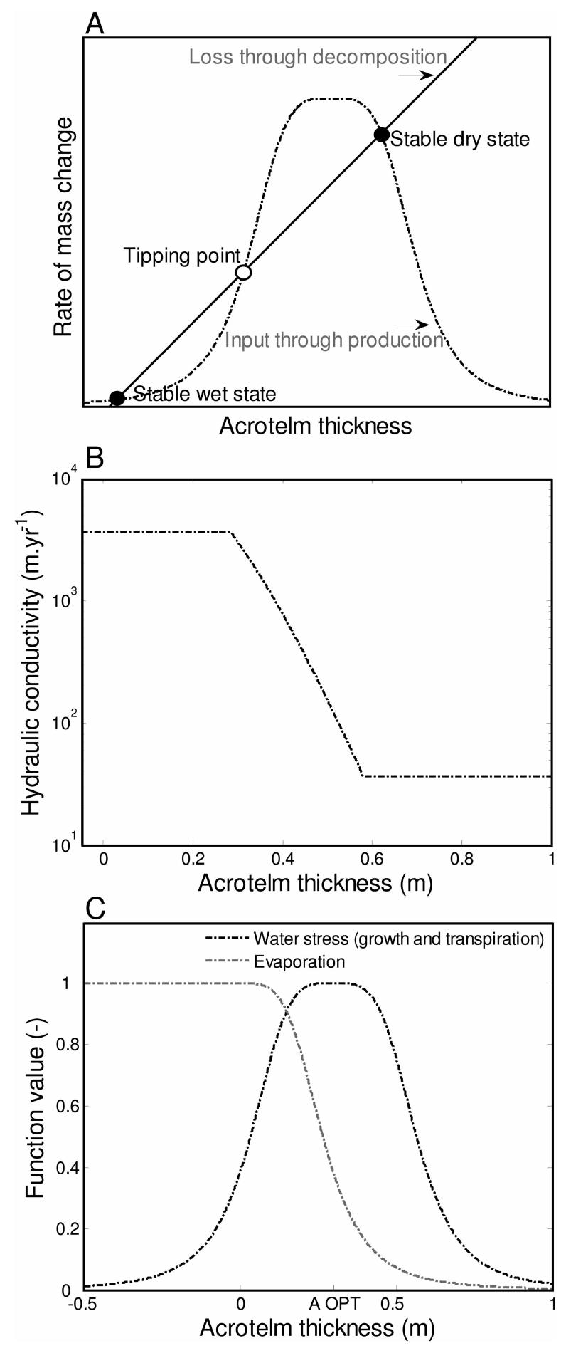 A, conceptual graph illustrating the peat accumulation mech-