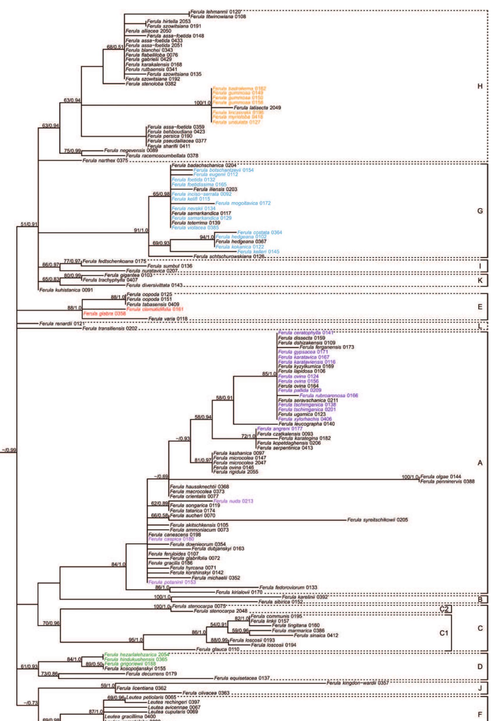 Figure 1 - Taxonomy of the traditional medicinal plant genus