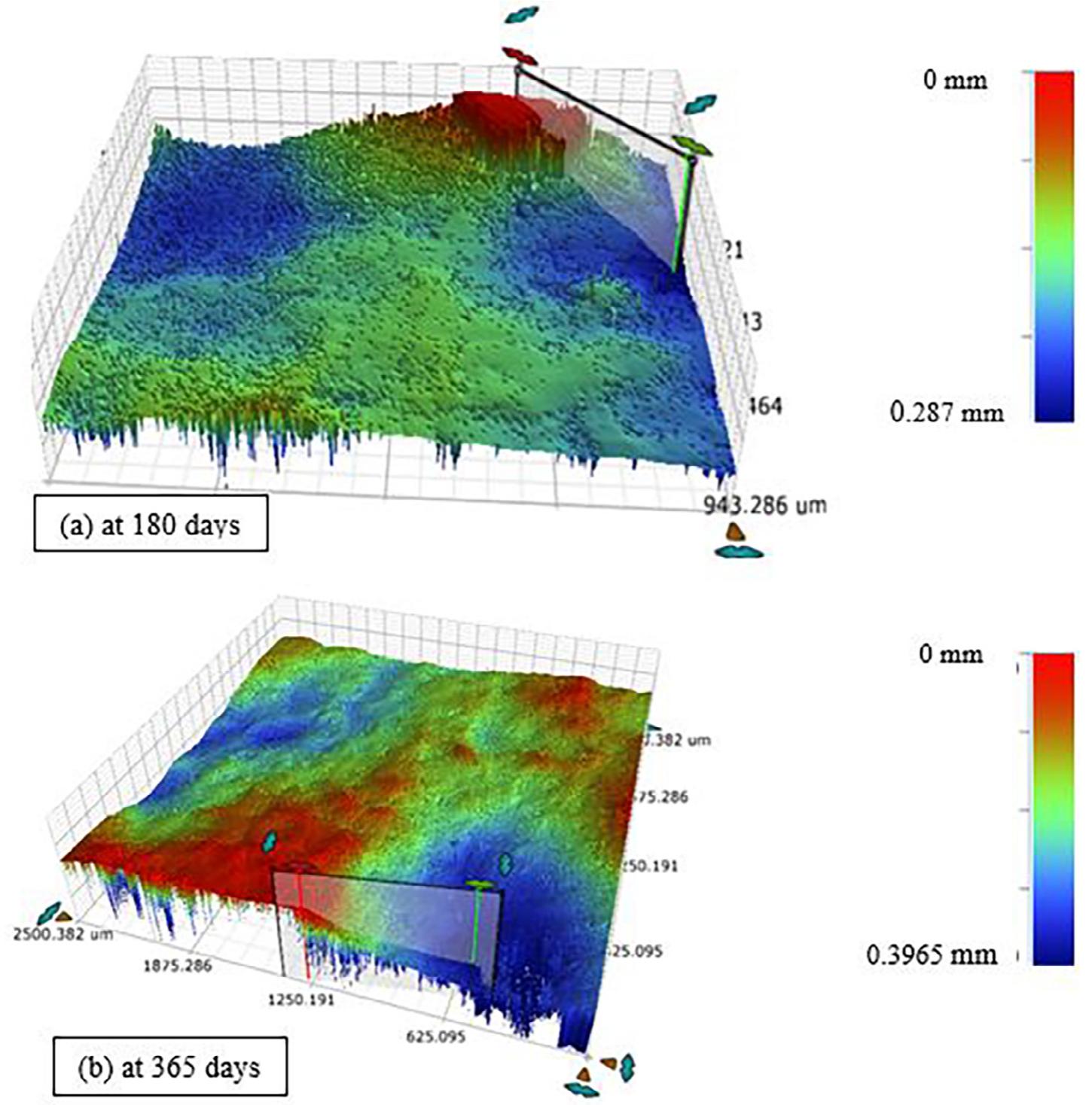 3d topography of the pitted area of specimen with a maximum