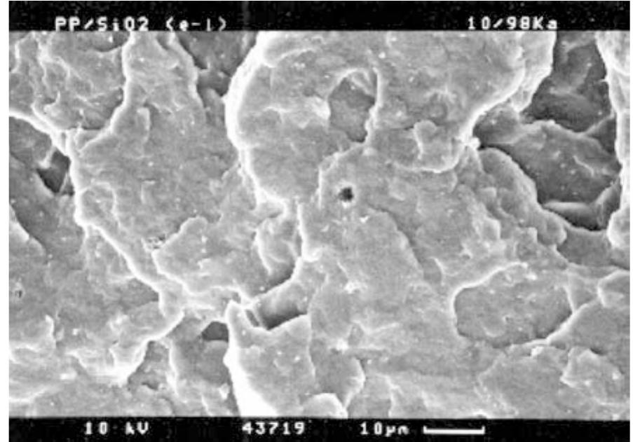 Em photographs of tensile fracture surface of pp/nano-
