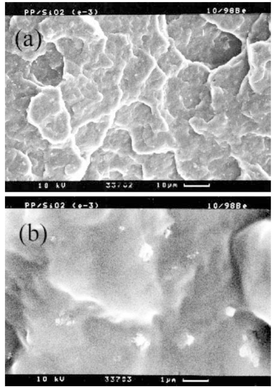 A,b sem photographs of tensile fracture surface of pp/nano-
