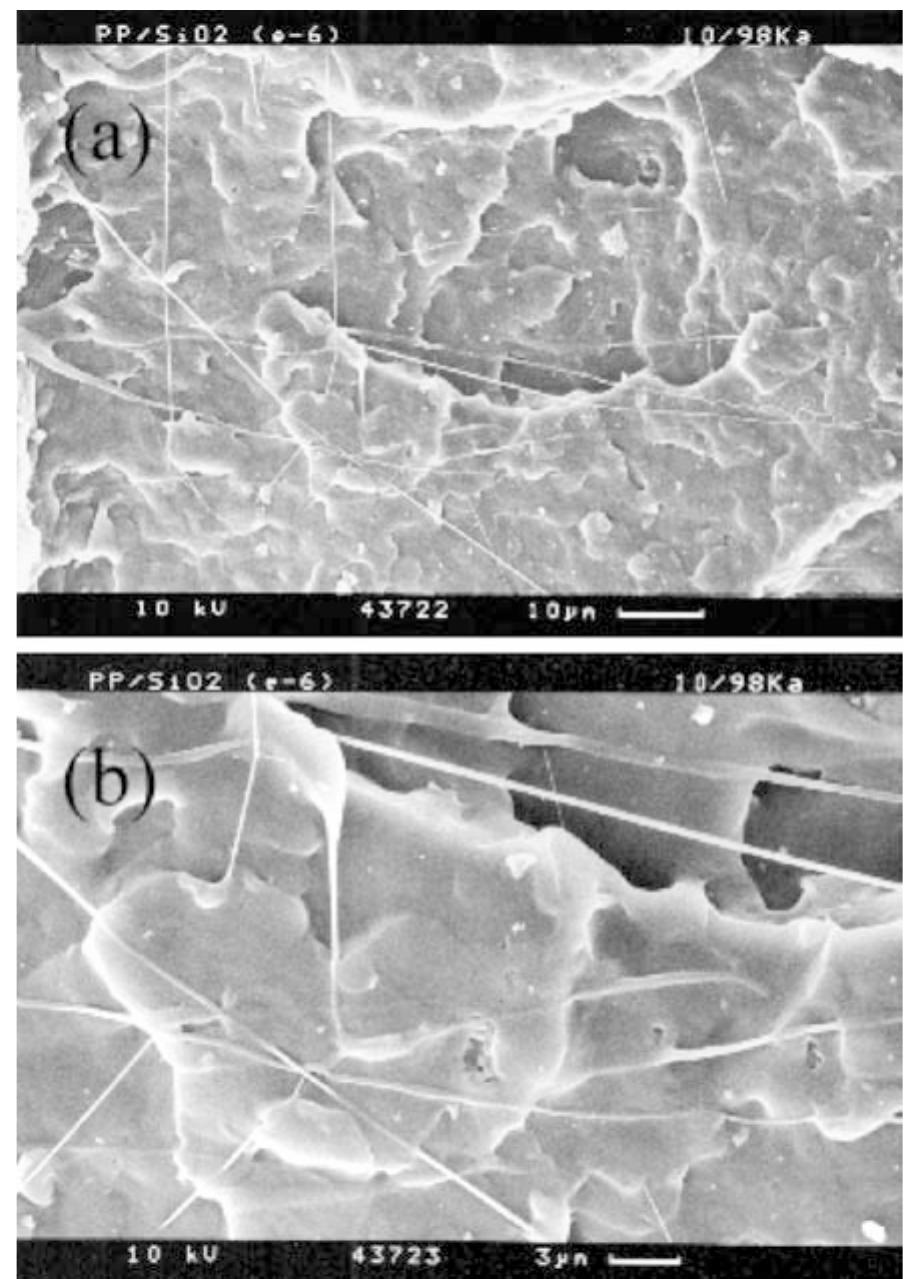 A,b sem photographs of tensile fracture surface of pp/nano-