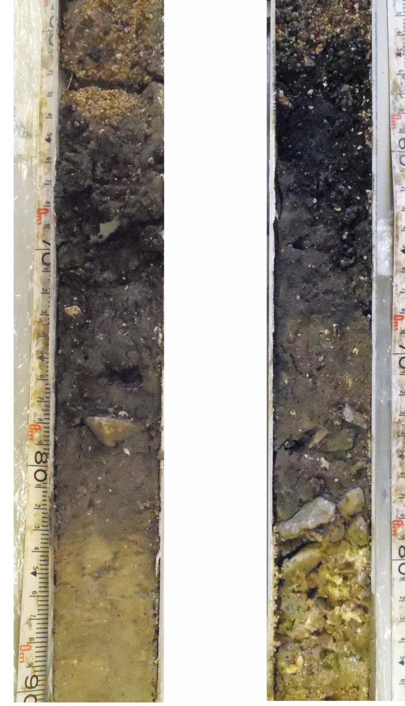 Figure 69 - Tracing their Steps: Predictive Mapping of Upper