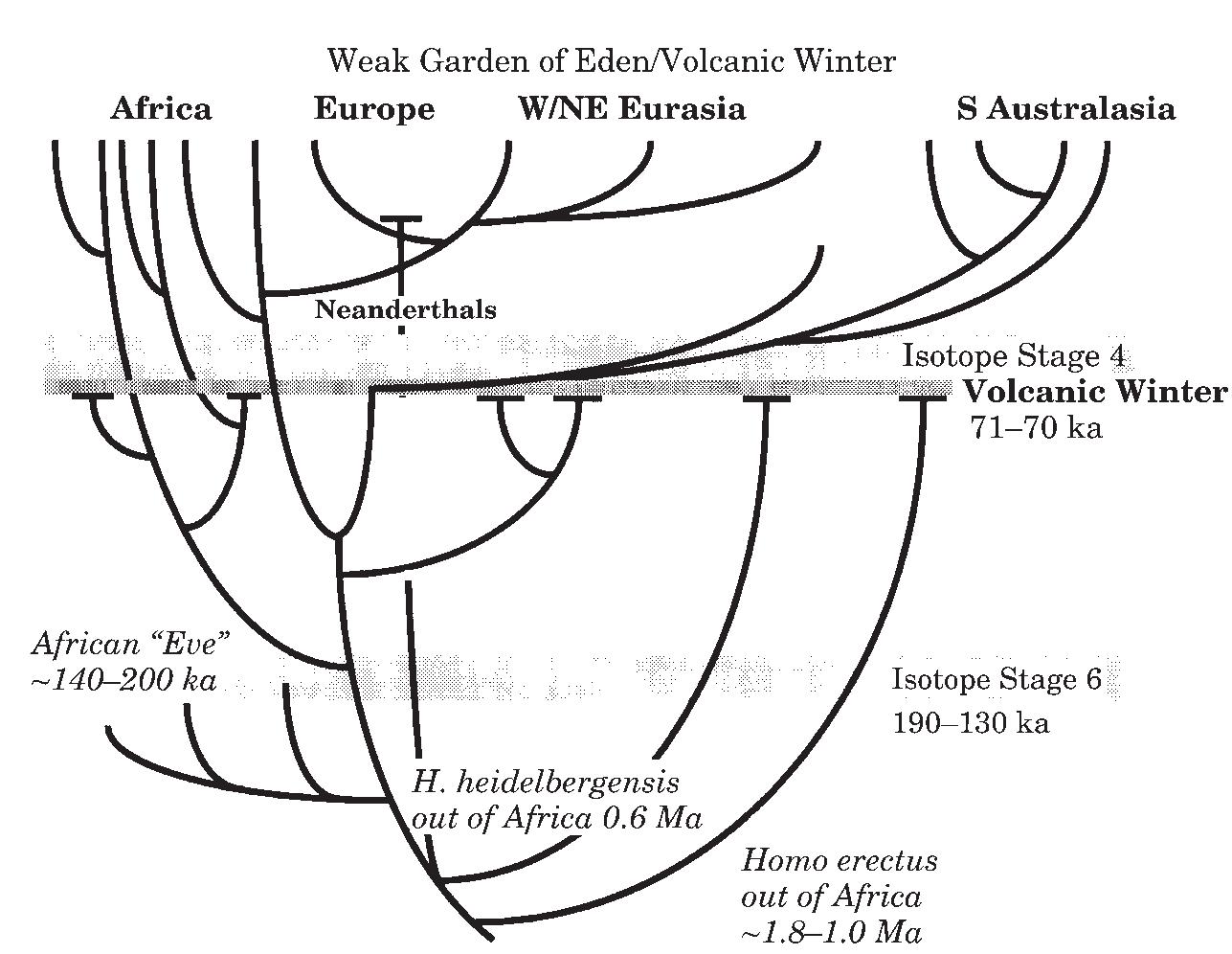 Figure 4 - from Late Pleistocene human population