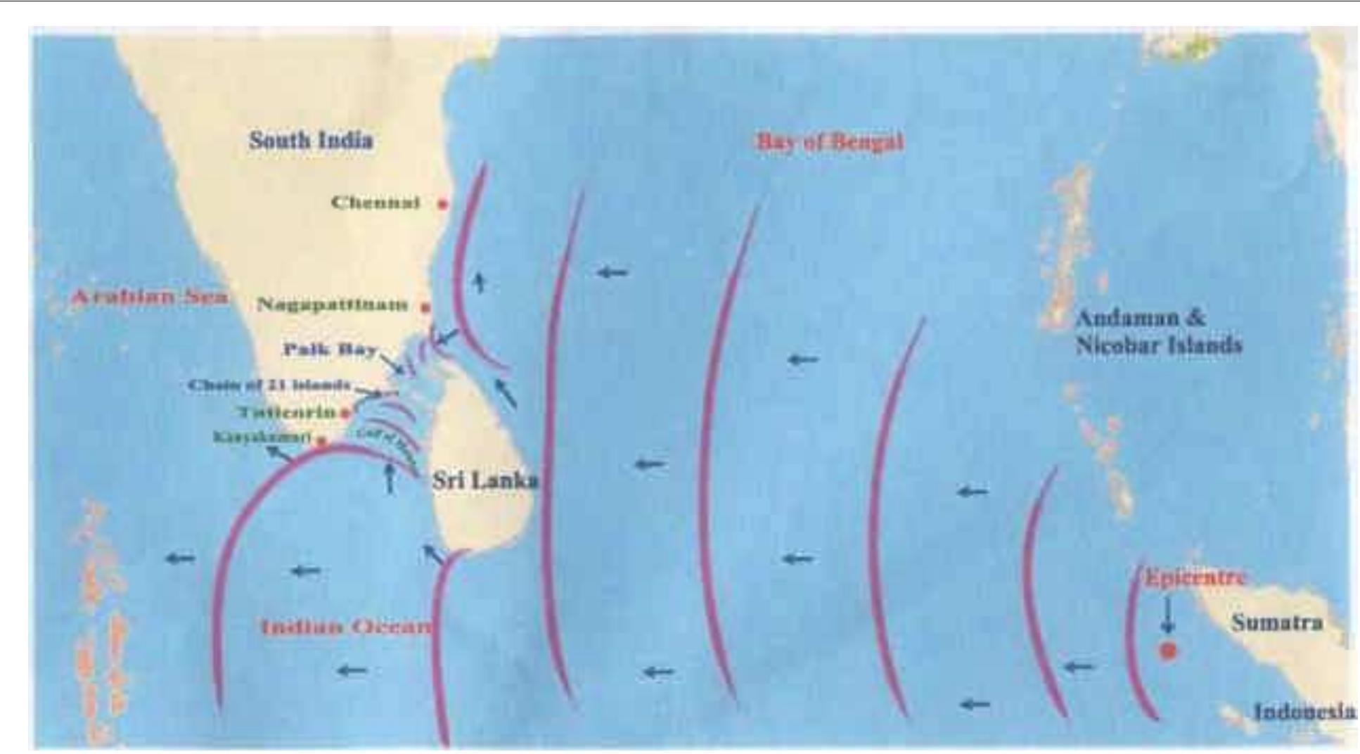 Flow of tsunami in the gulf of mannar and palk bay (based on