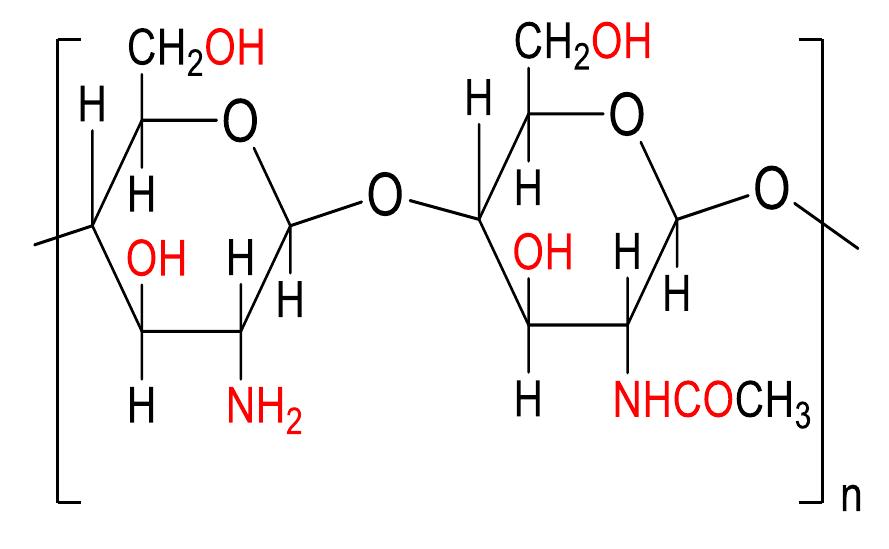Chemical structure of chitosan polymer