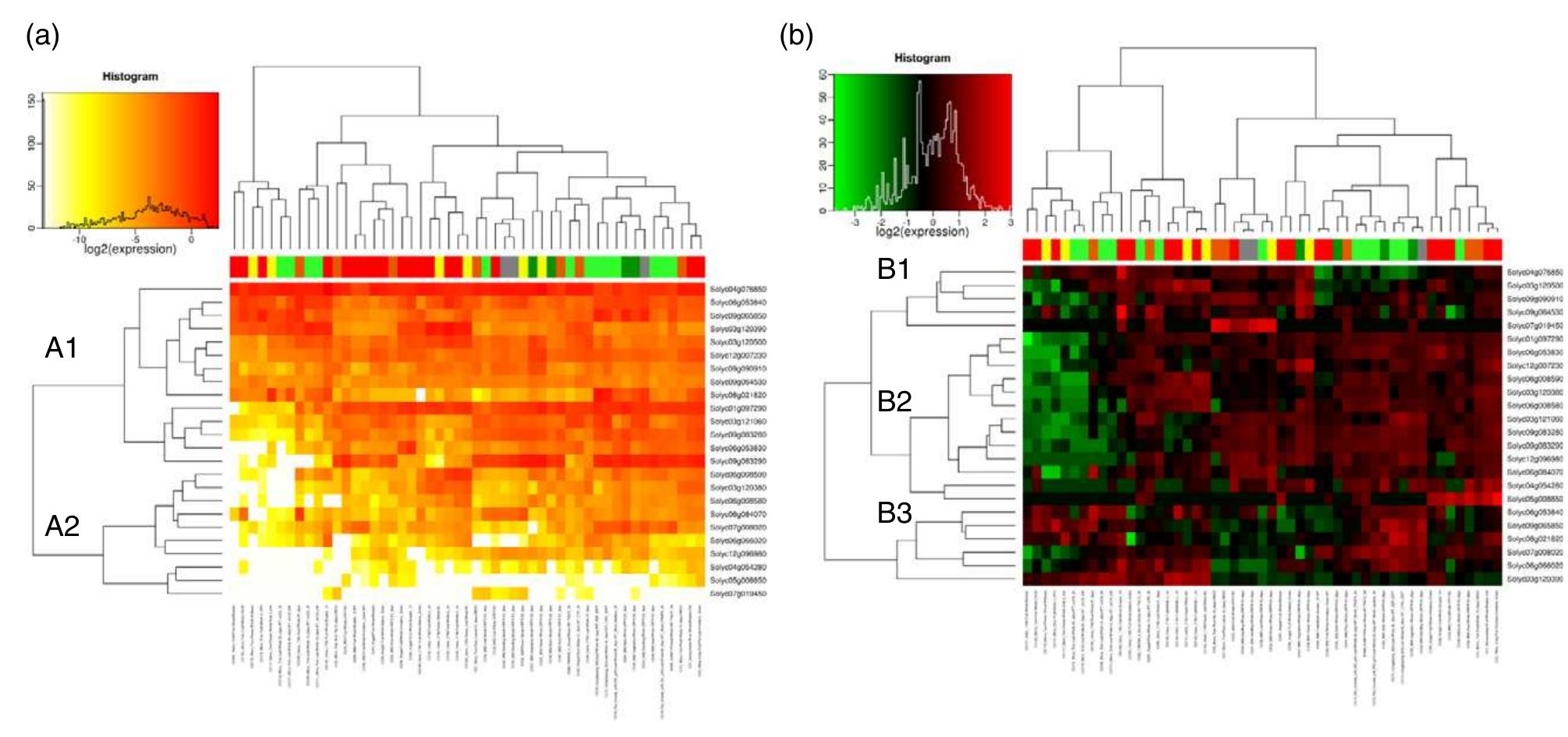 Heatmaps of hierarchical clustering of auxliaa gene family