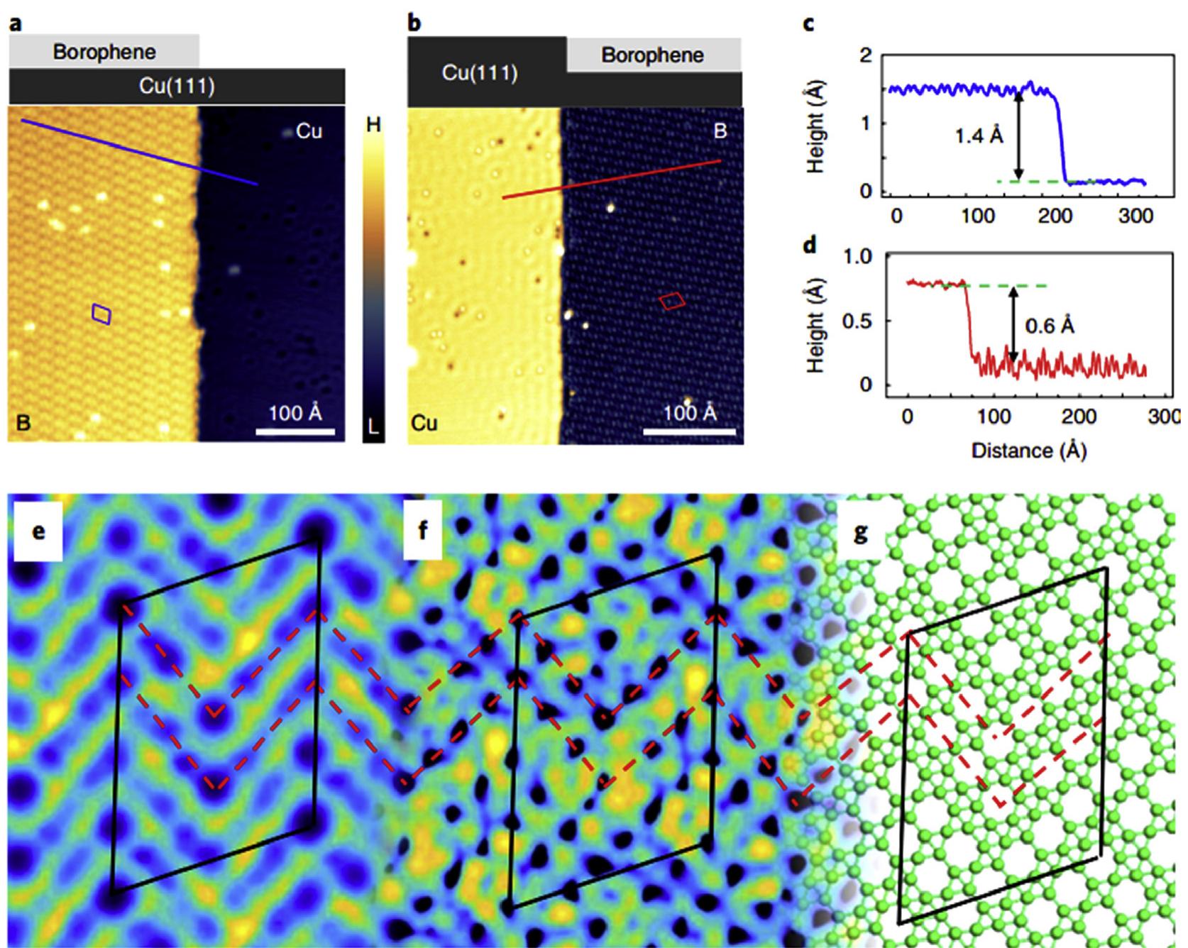 The stm and dft based shown 2d-b structure on cu(111). (a,