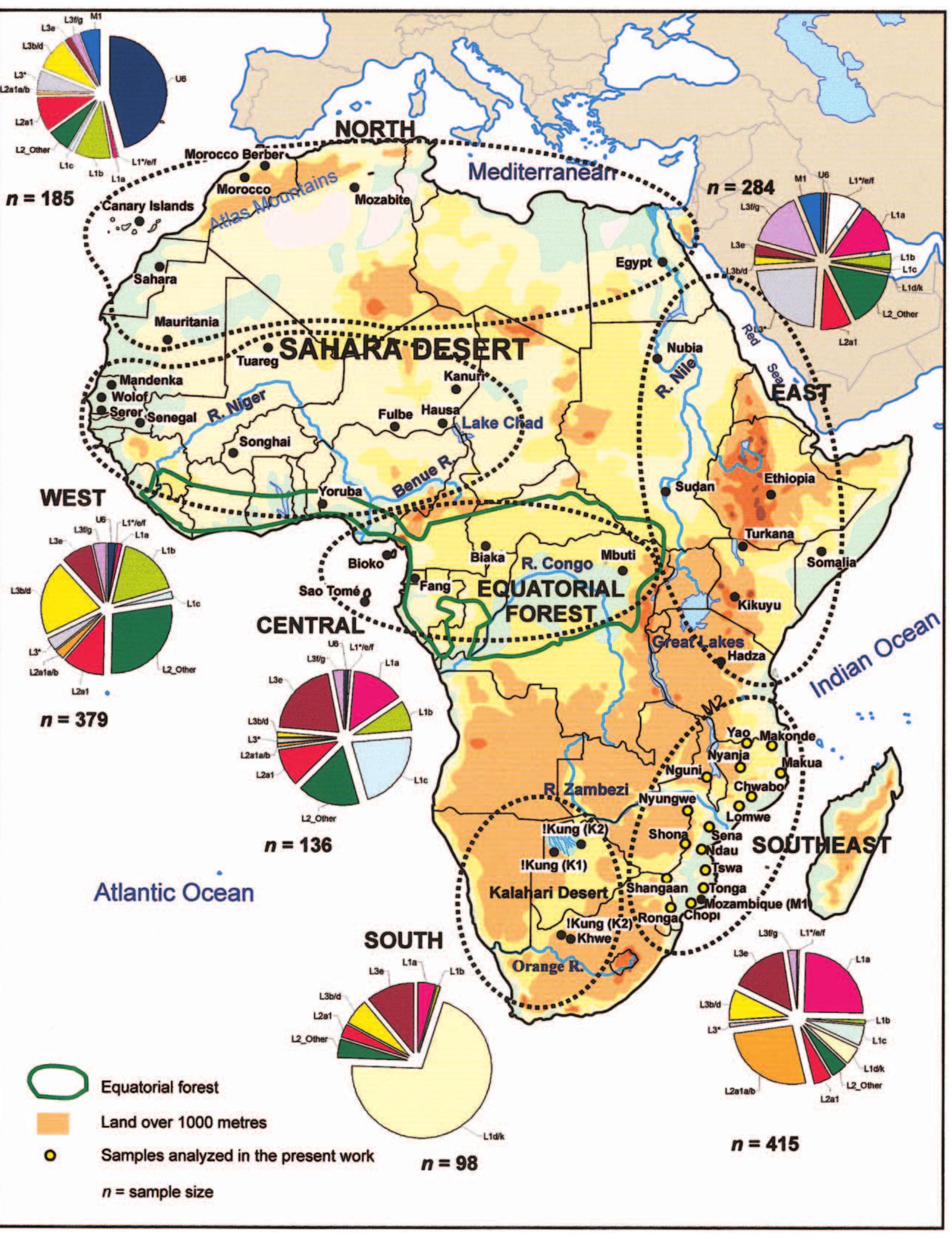 Figure 1 - The Making of the African mtDNA Landscape