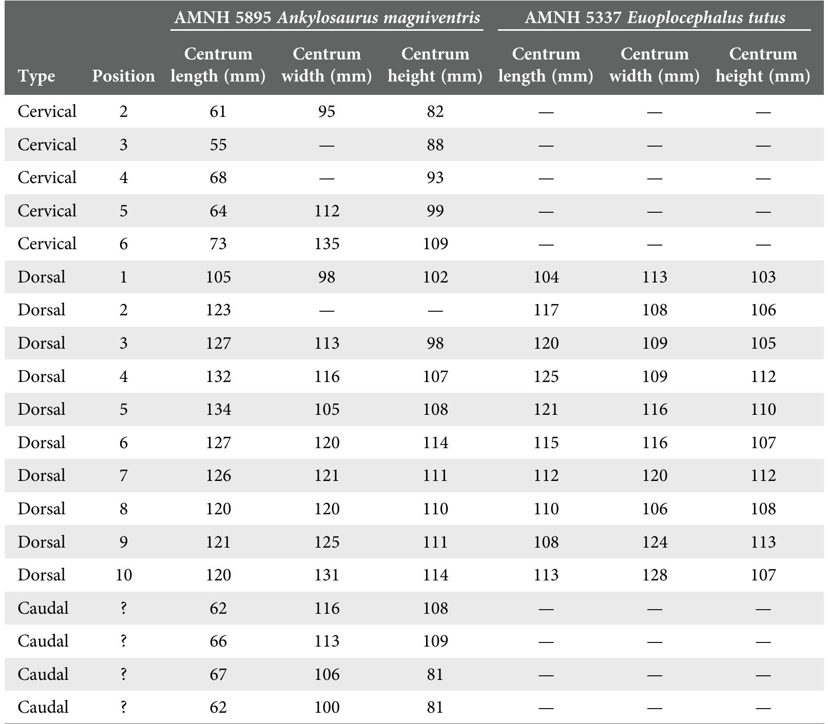 Dimensions of the cervical, dorsal, and caudal vertebrae of