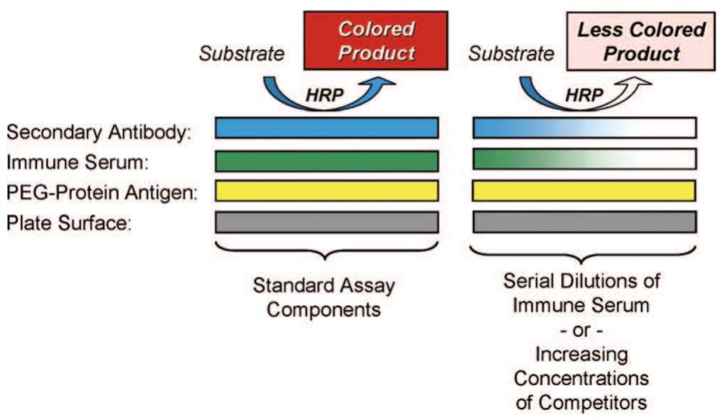 Schematic of enzyme-linked immunosorbent assays (elisas) for