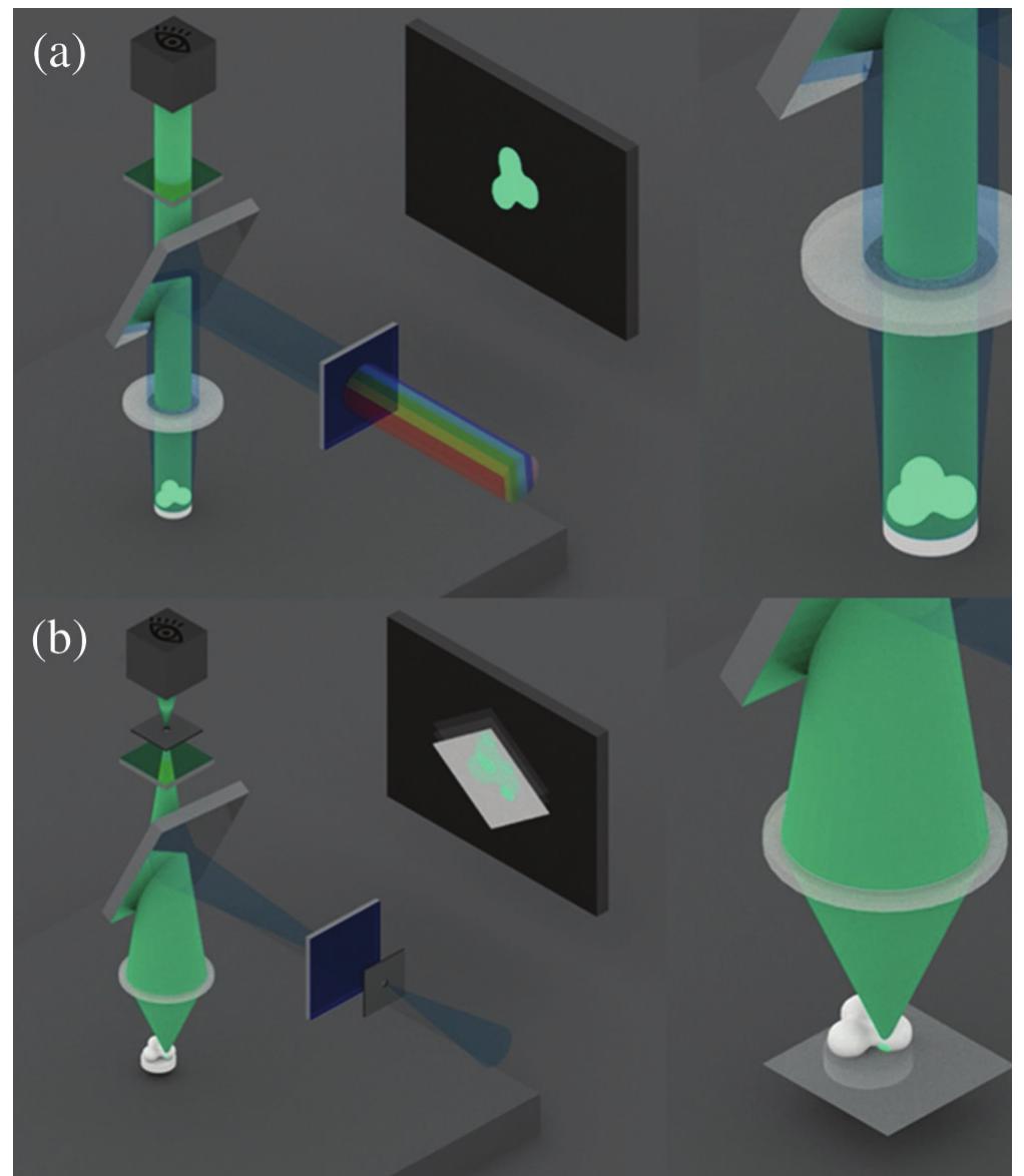 Microscopy imaging of standard/normal microscopy (a) and