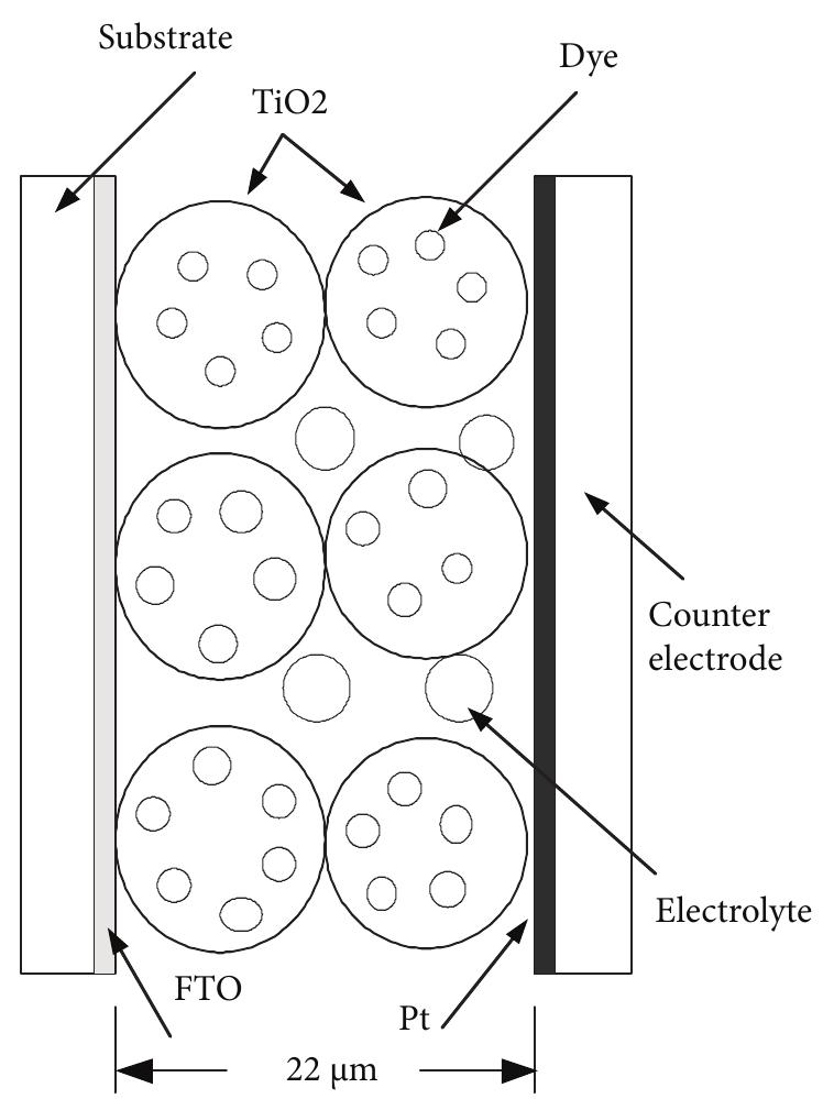 A schematic diagram showing the structure of the dssc and