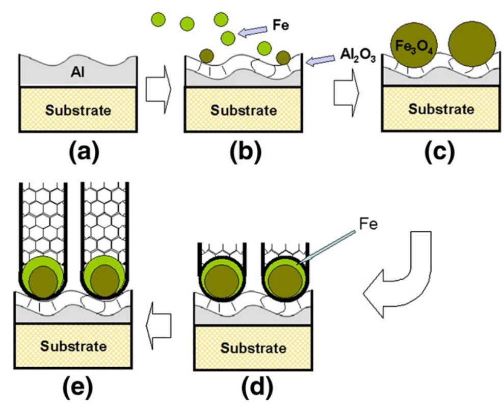 (a—e) schematic diagram illustrating the growth mechanism of