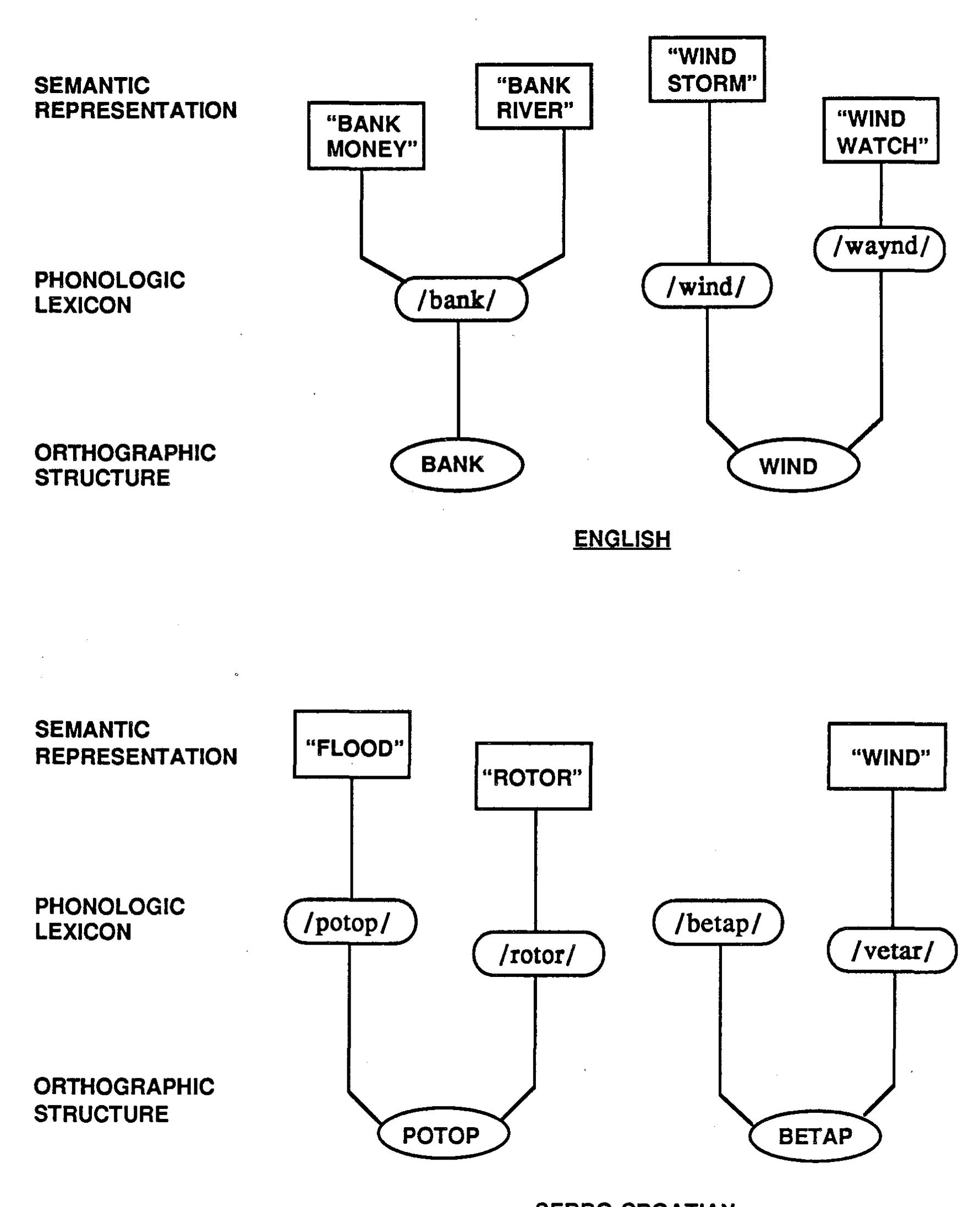 Figure 1 - from Phonological ambiguity and lexical