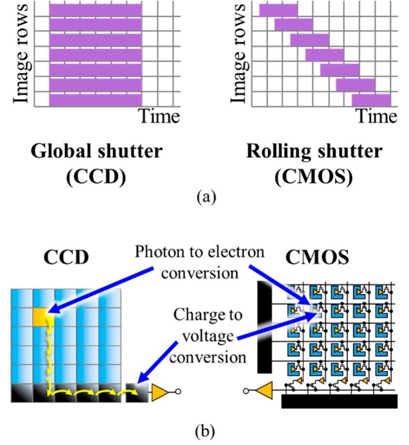 (a) a comparison between the gs and rs; (b) a structural