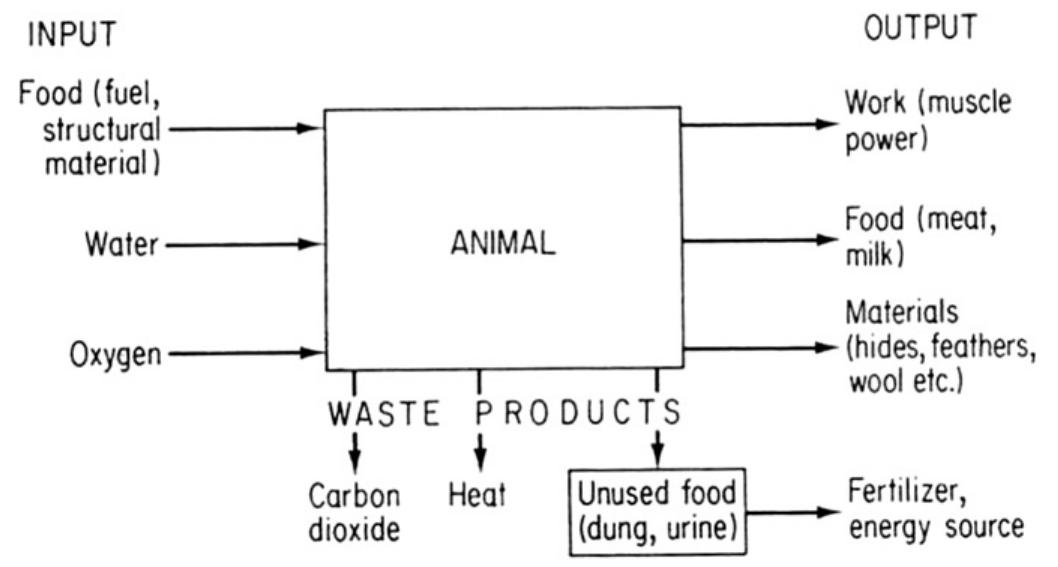 Input-output block diagram for working animals (source ref.