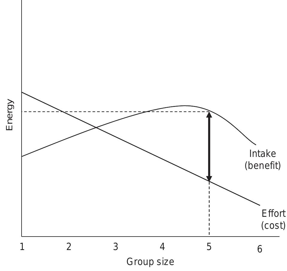 Asimple cost-benefit analysis of group size. the energy