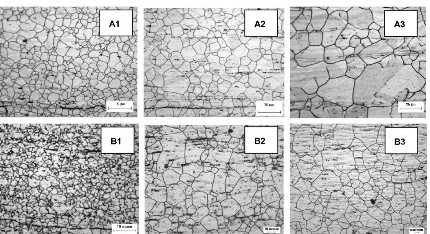 Optical microscopy images of the microstructure of high