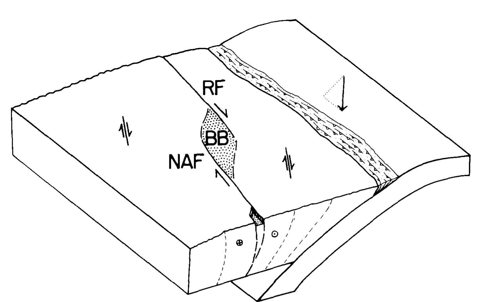 Schematic block diagram showing the northern arm fault (naf)