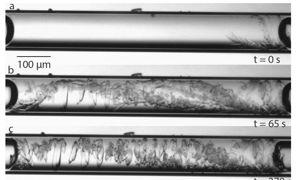 Crystallization of 1 mol/kg sodium sulfate solution mixed