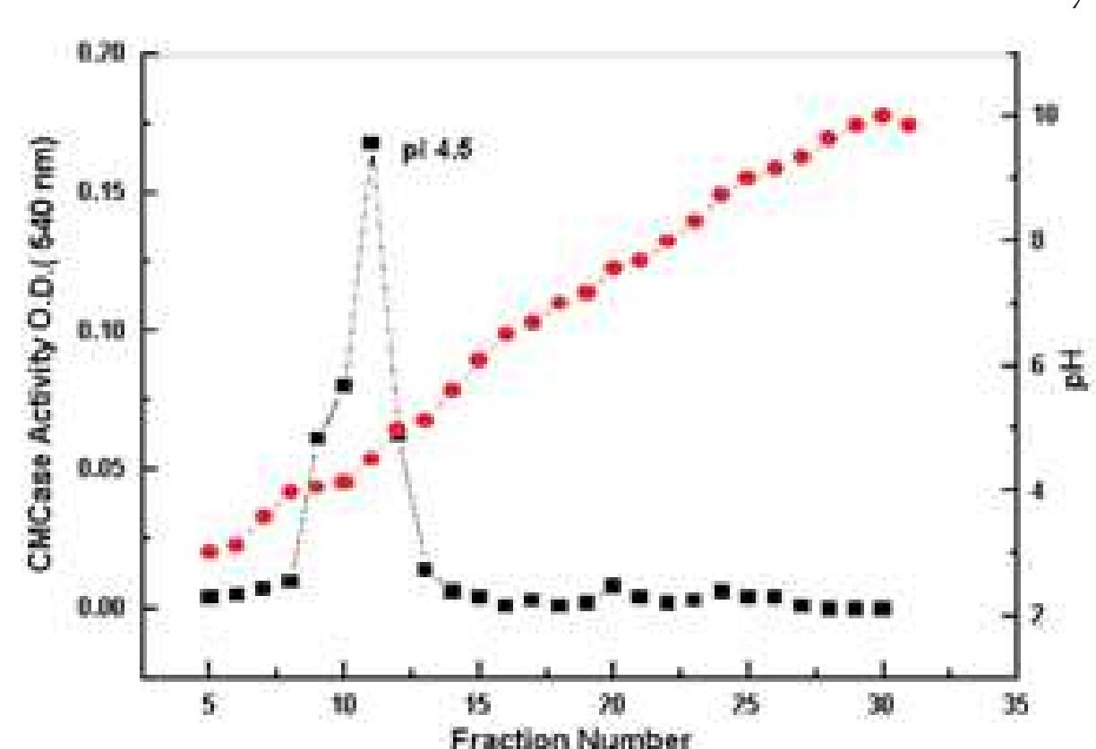 Purification of endo a using miniscale ief unit.