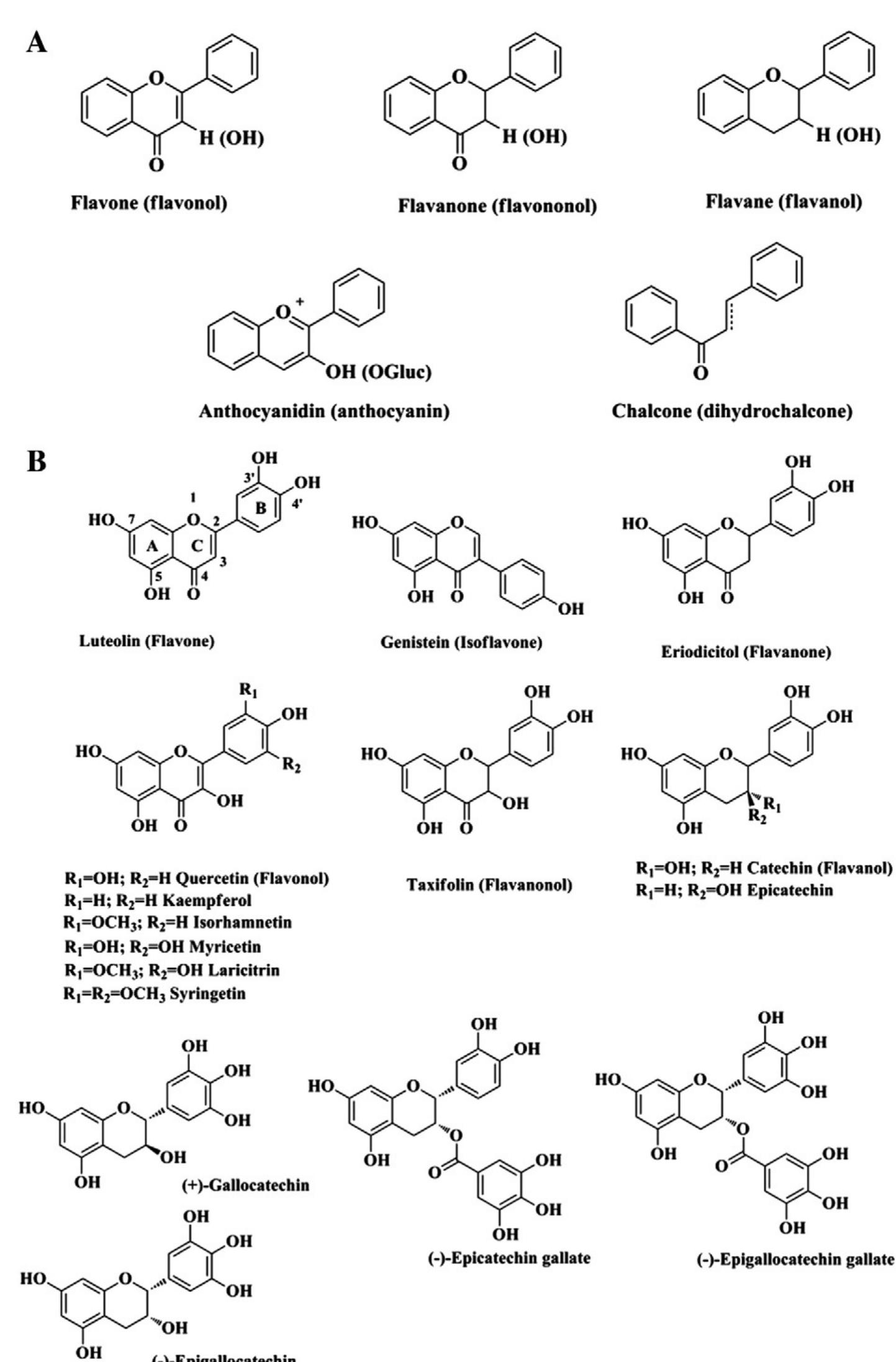 A — general structure of flavonoid subgroups; b — flavonoids