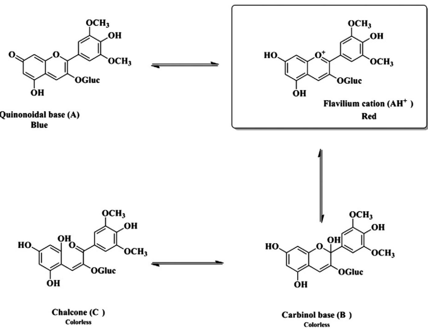 Chemical species present in aqueous solution associated to
