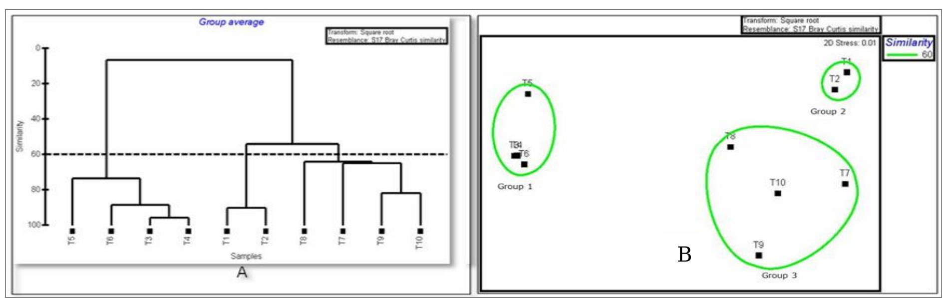 Cluster dendrogram and data ordination. the data formed 3