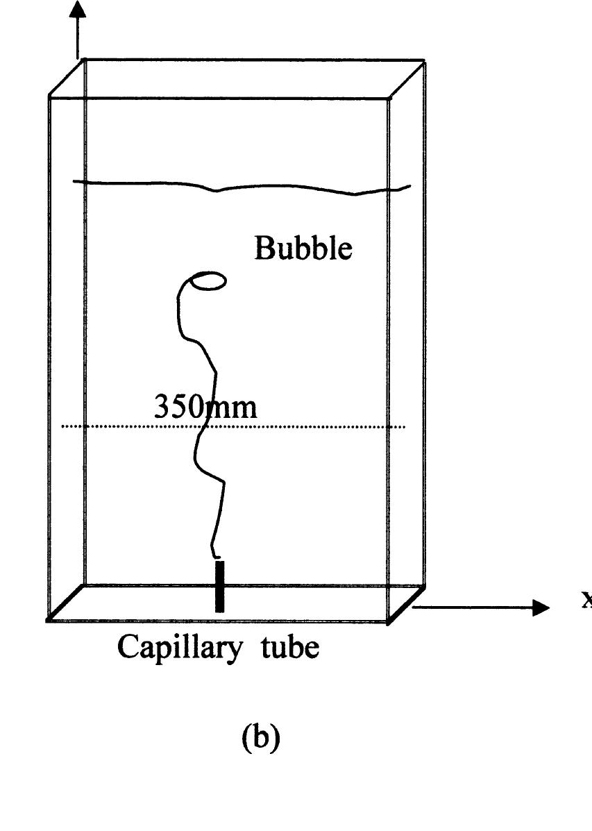 Figure 3 - Measurements of Bubble Characteristics: