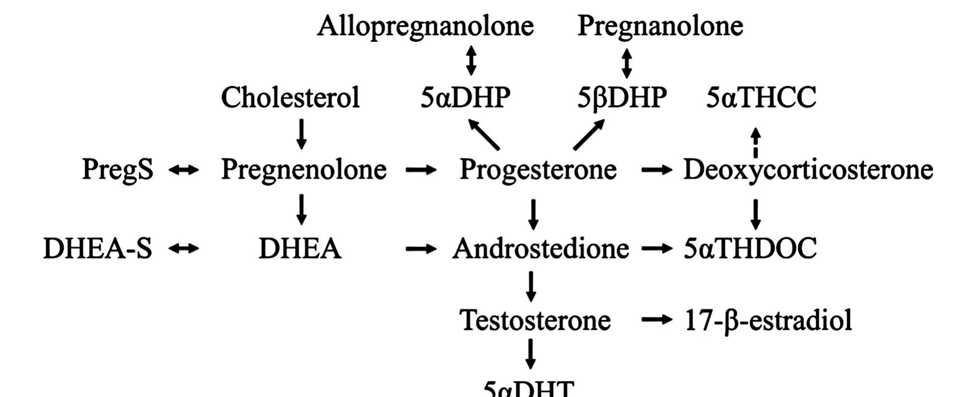(1). schematic illustration of the main pathways of