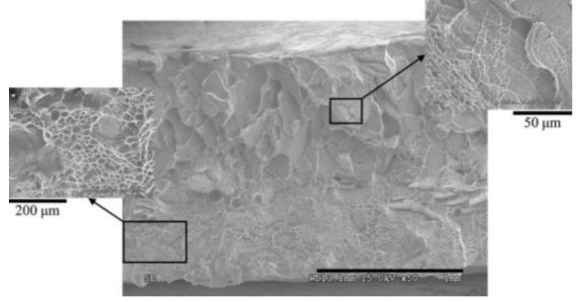Sem images showing dimples features on the fracture surface