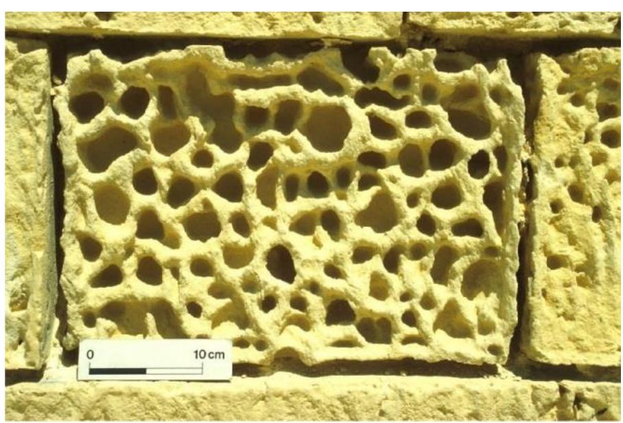 Biological colonization, sculpture / torcello (italy).