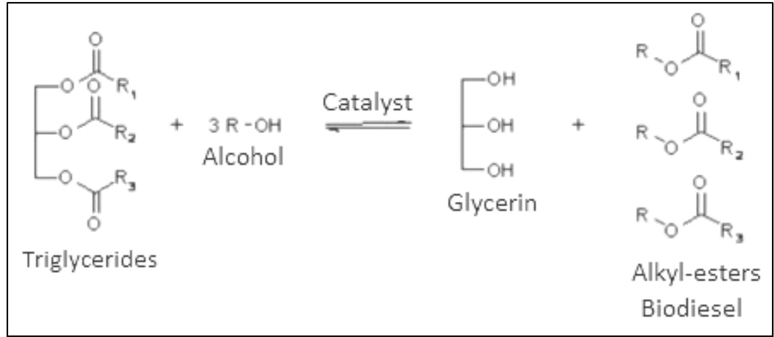 The transesterification process consists of the